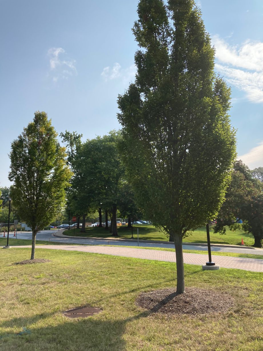 Project Update: Towson University CHP Building | AggDirect